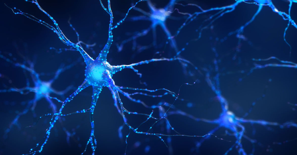 CNS Disorders | Meiji Group
