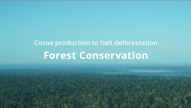 Forest Conservation | Meiji Group